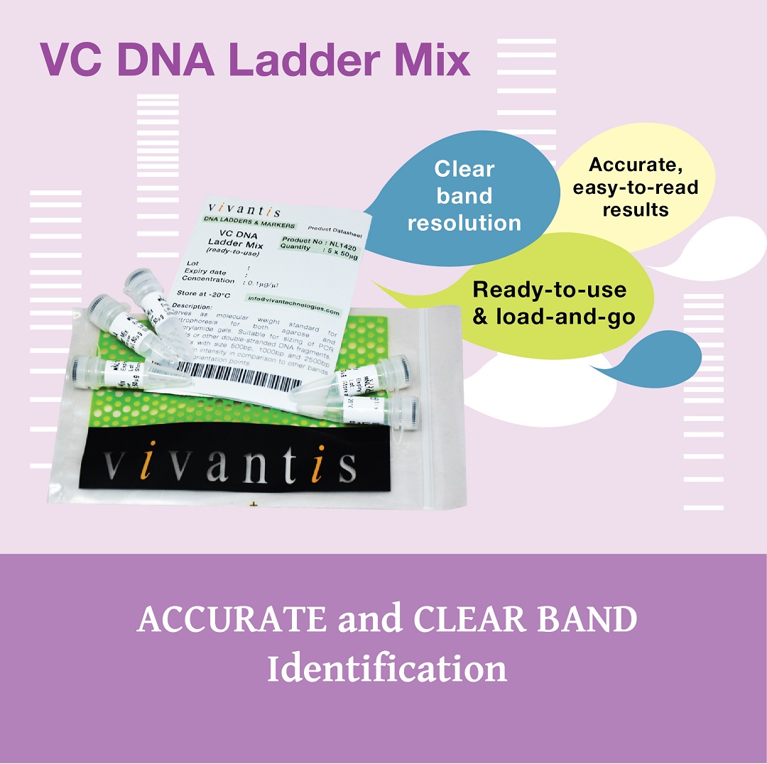 VIPRODUCT INSIGHT: VC DNA Ladder Mix