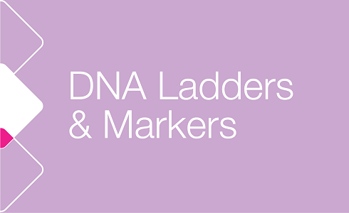DNA Ladders & Markers